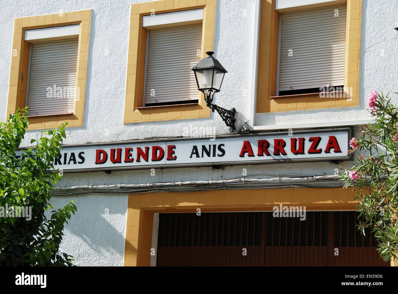 Aniseed plant hi-res stock photography and images - Alamy