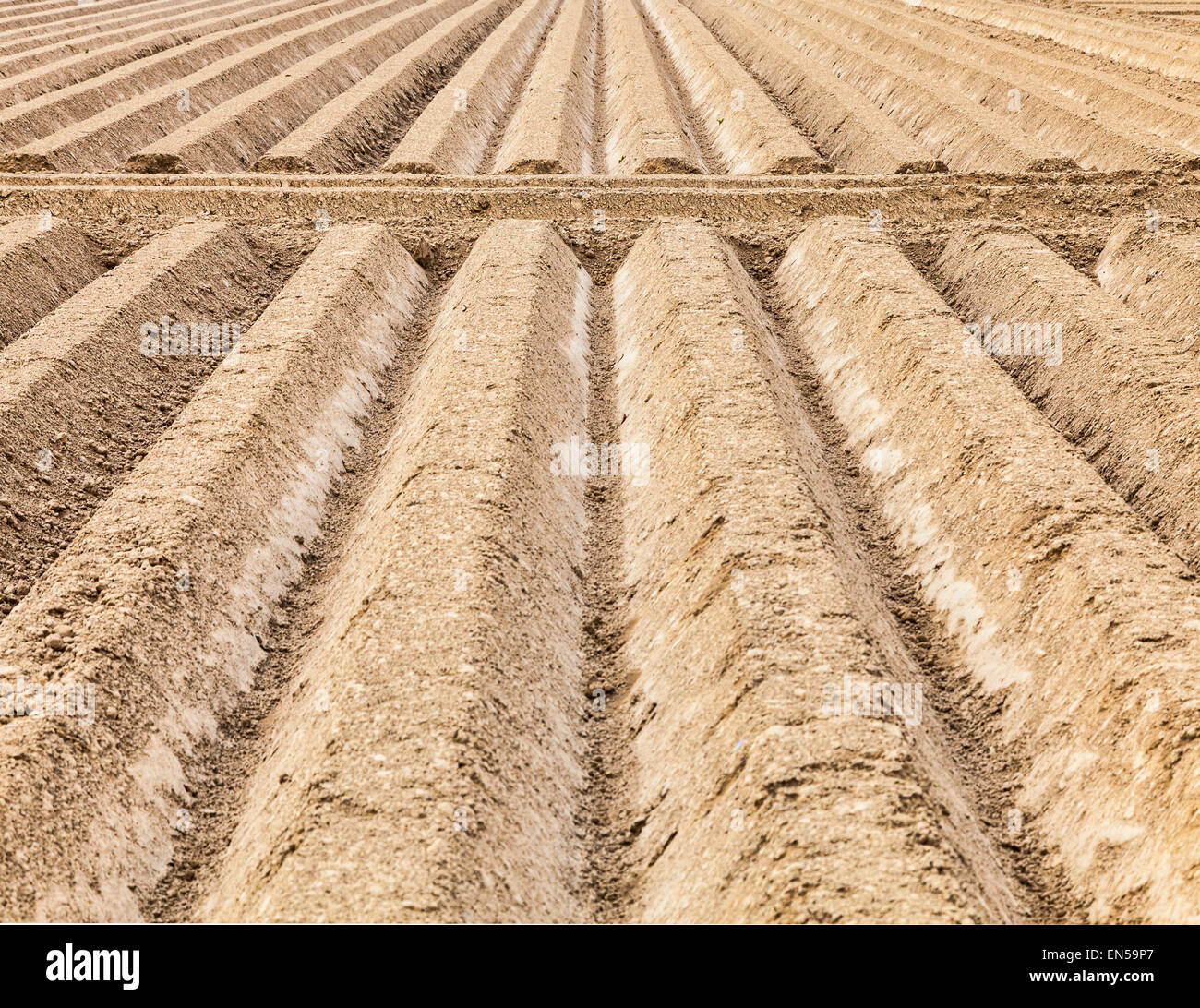 Detail image of a ploughed field with furrows Stock Photo - Alamy