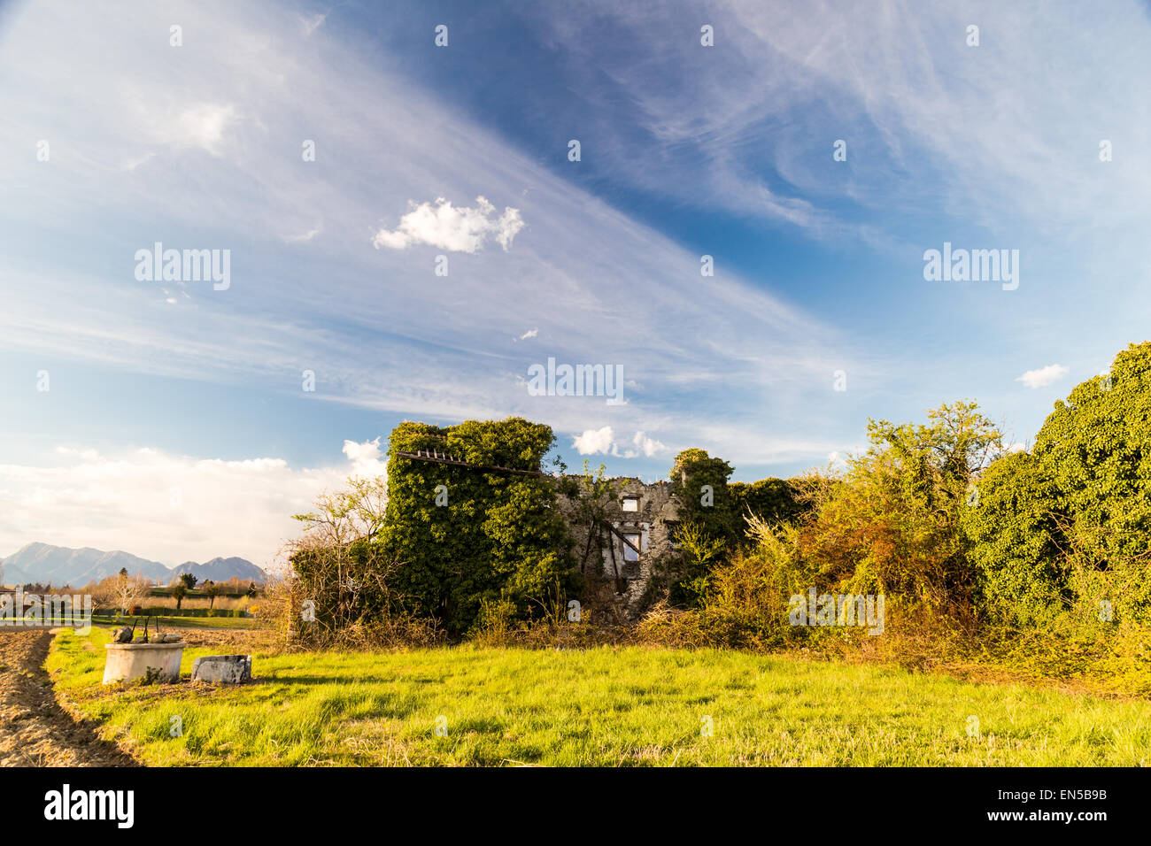 an abandoned and ruined farm in the fields of Italy Stock Photo - Alamy