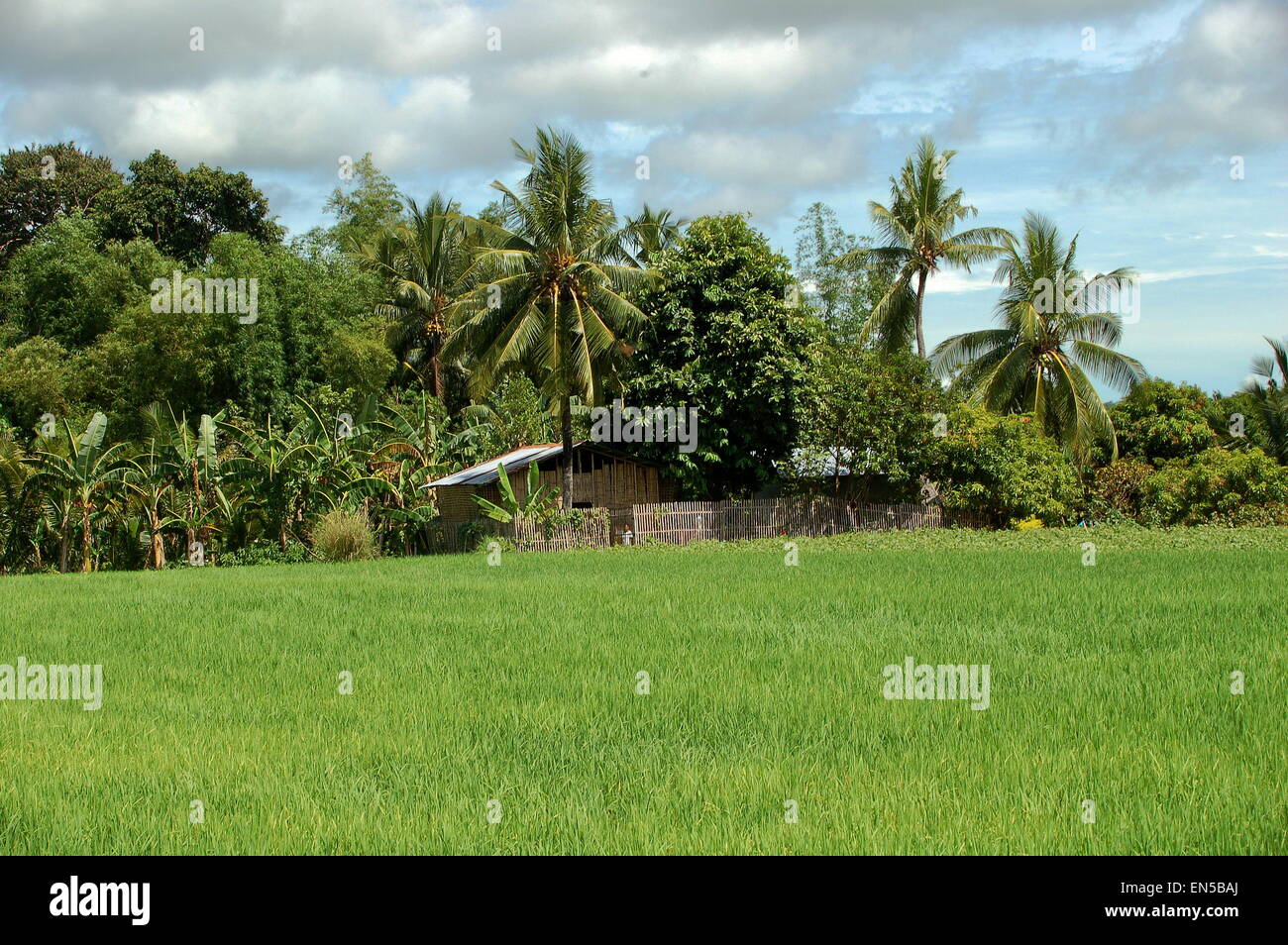 What Is Rural Community In The Philippines at Natasha Barr blog