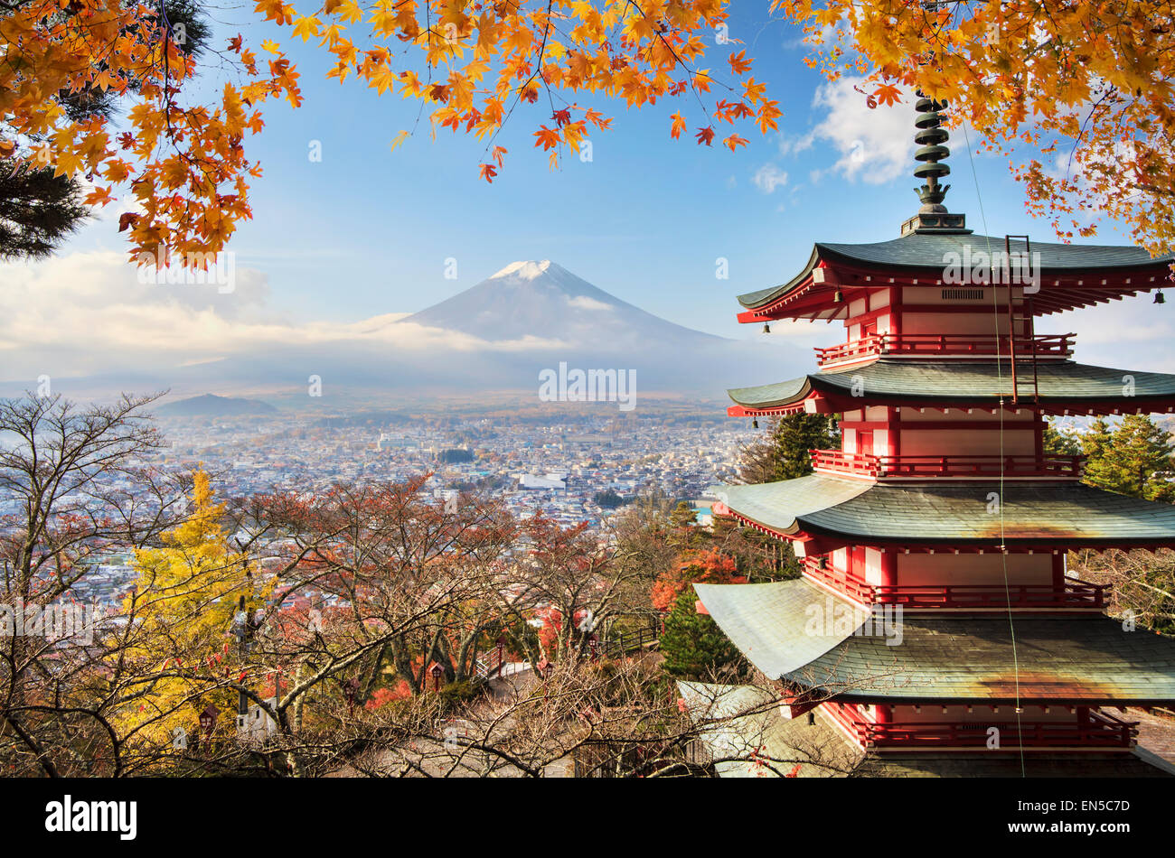 Mt. Fuji with fall colors in Japan for adv or others purpose use Stock ...