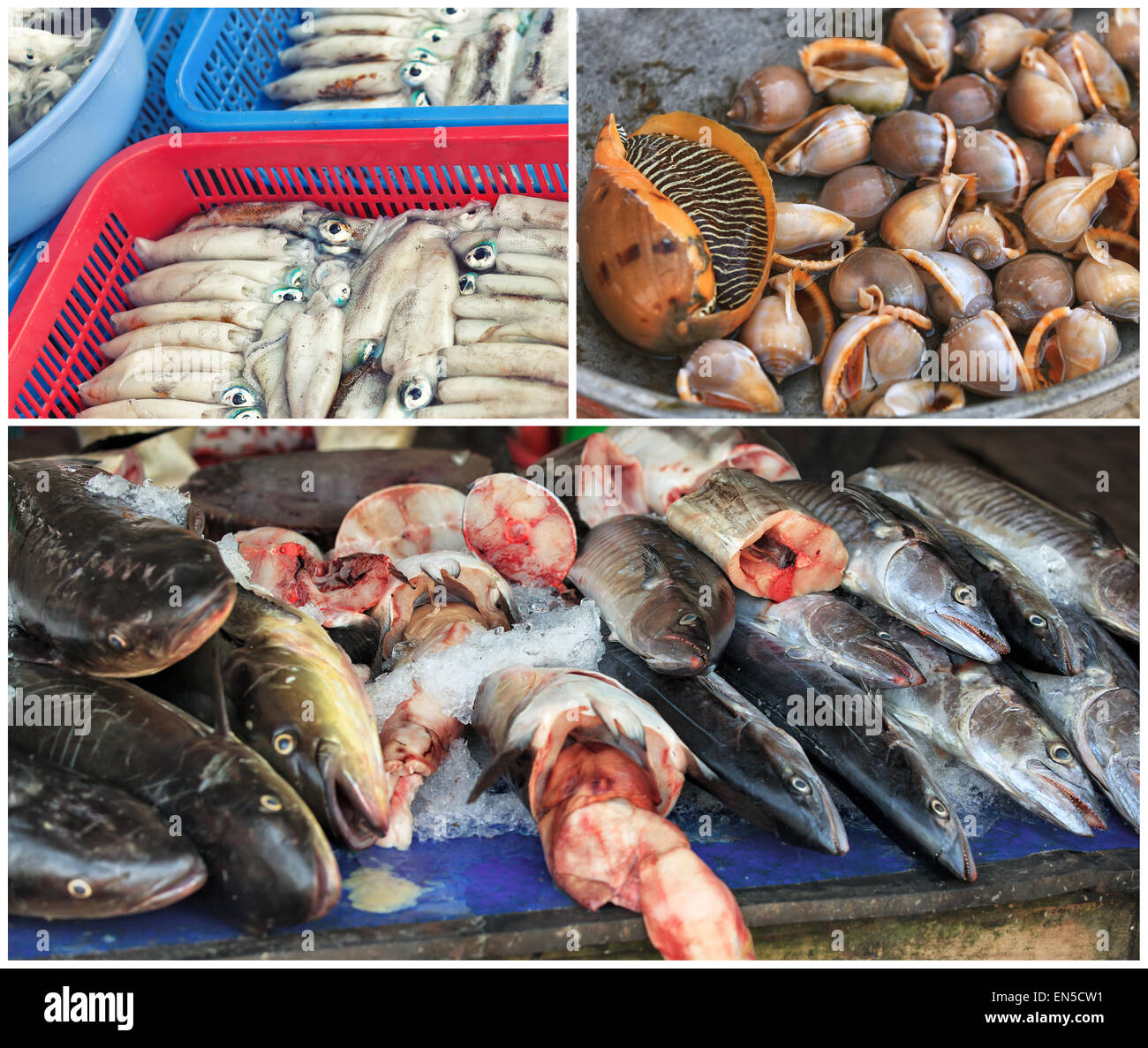 Traditional asian fish market collage Stock Photo - Alamy