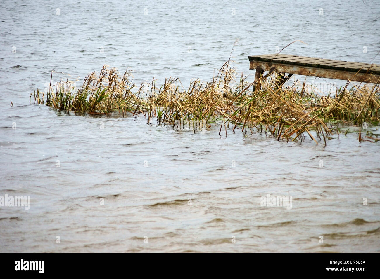 Rickety jetty in Lake Stock Photo - Alamy