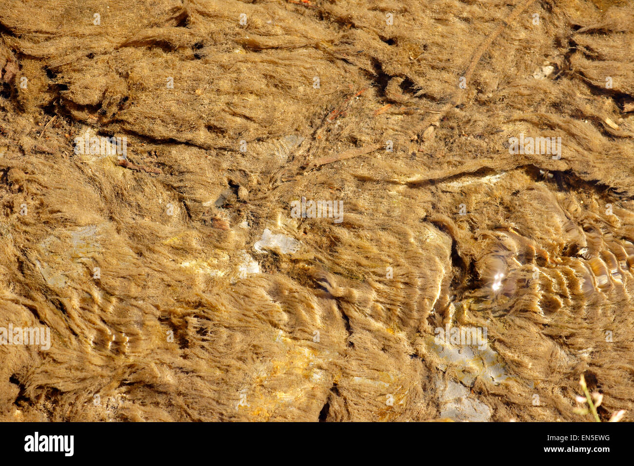 Sediments in the stream Stock Photo - Alamy