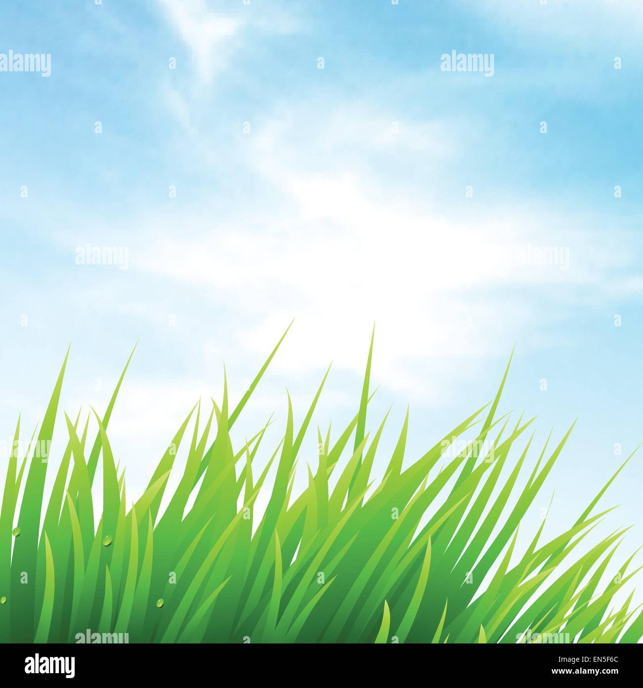 Clean spring amazing scenery. Vector nature landscape Stock Vector ...