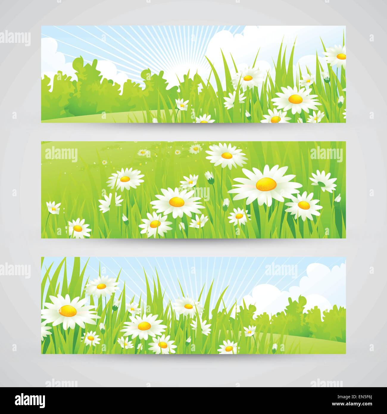 Clean spring amazing scenery. Vector illustration EPS 10 Stock Vector ...