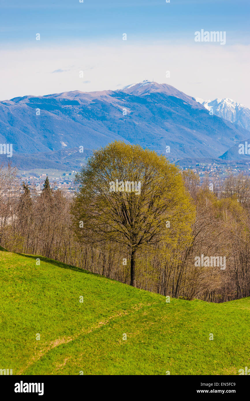 Italy Veneto Montello landscape Stock Photo - Alamy