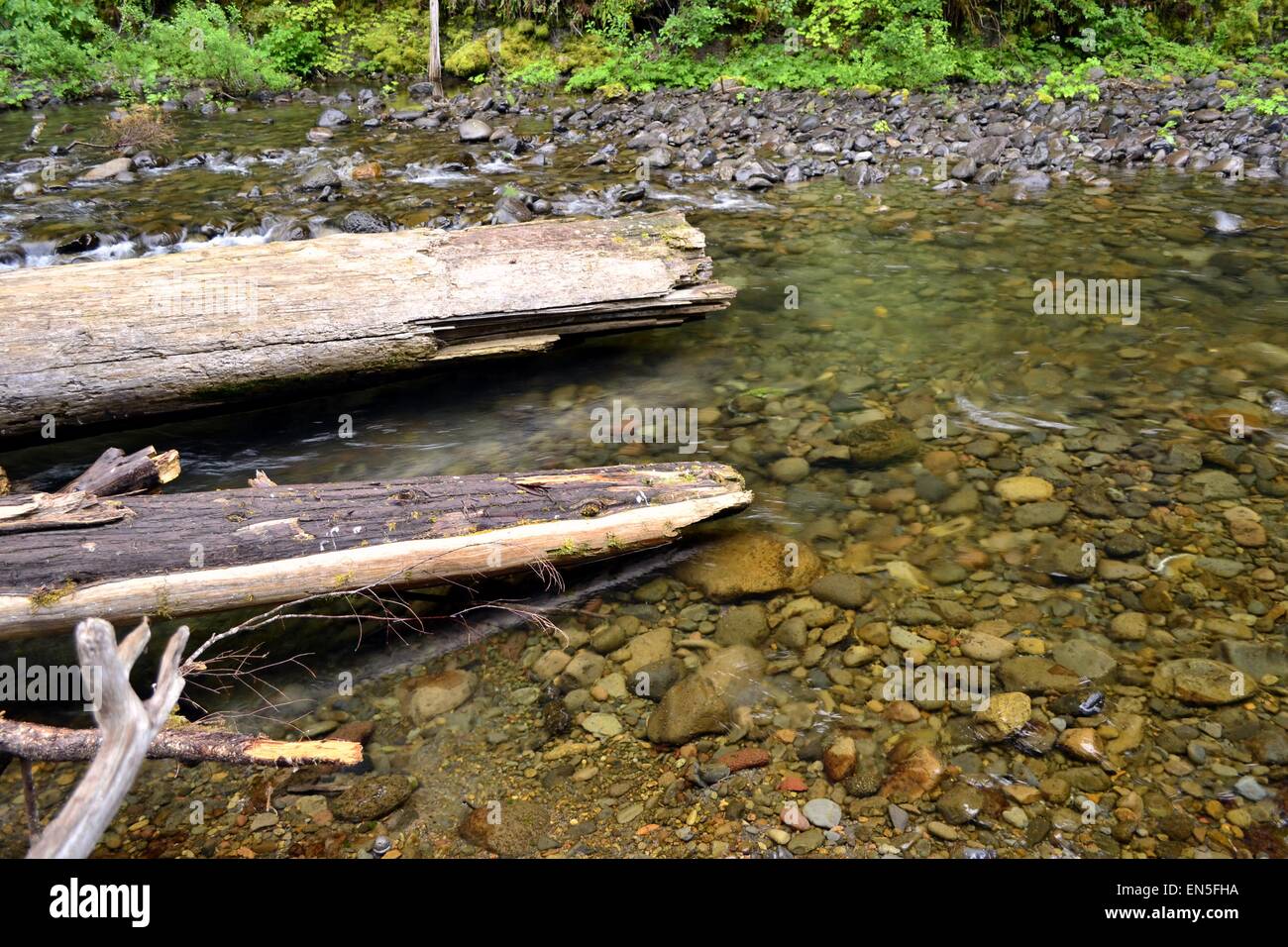 Clear river rocks Stock Photo - Alamy