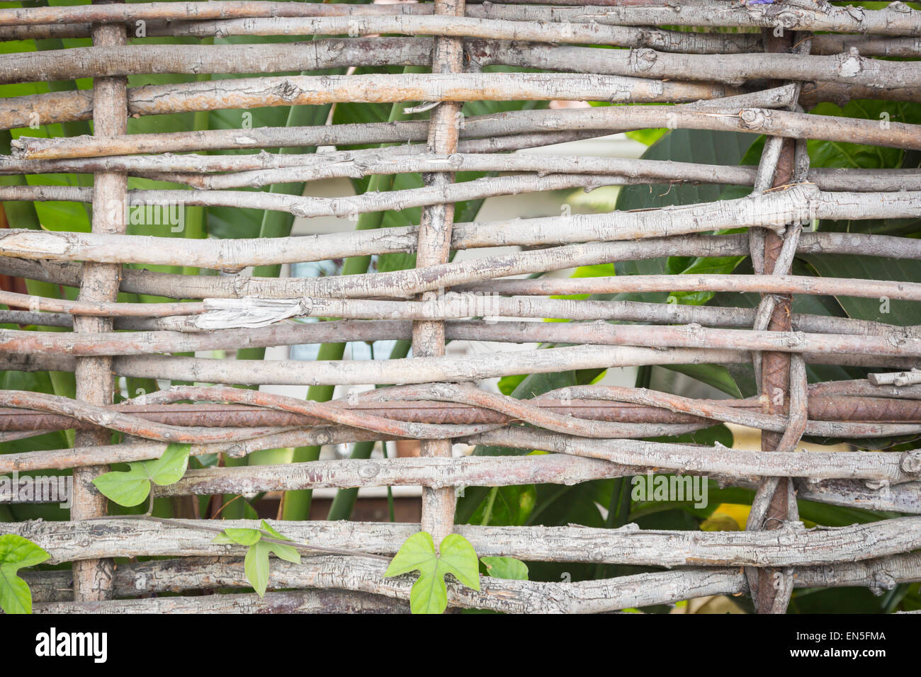 Beautiful Abstract of Woven Branch Decorative Thatch Work Fence Stock ...