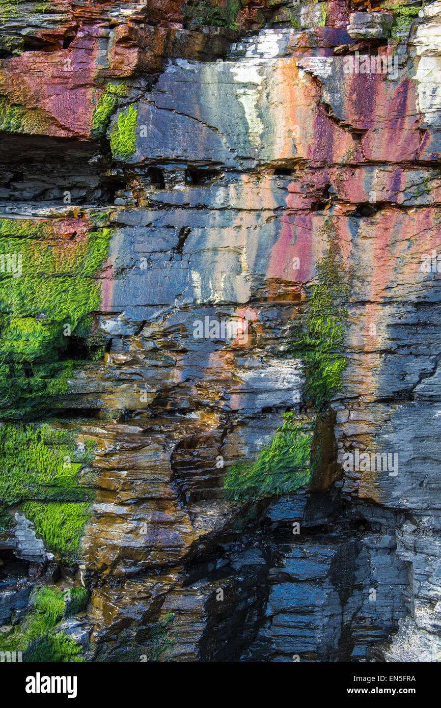 Coloured rocks at Sandsend, North Yorkshire Stock Photo - Alamy