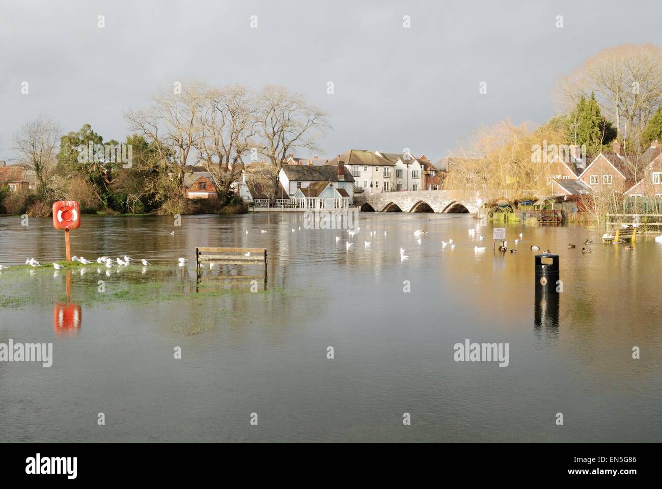 Flooded park from the River Avon at Fordingbridge, Hampshire, England ...
