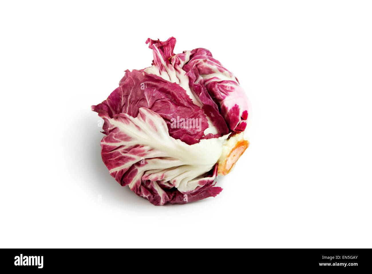 fresh red radicchio isolated on white background Stock Photo - Alamy