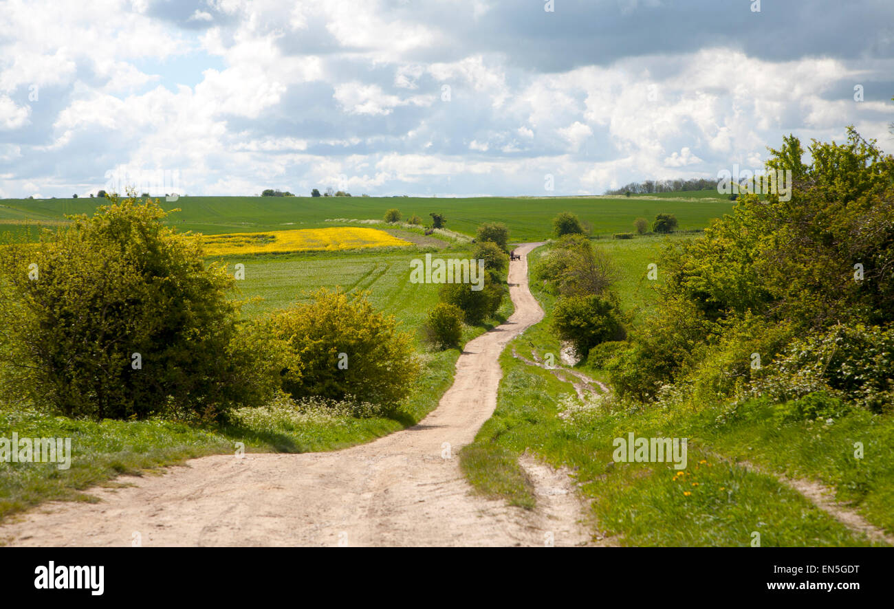 Chalk Downland High Resolution Stock Photography and Images - Alamy