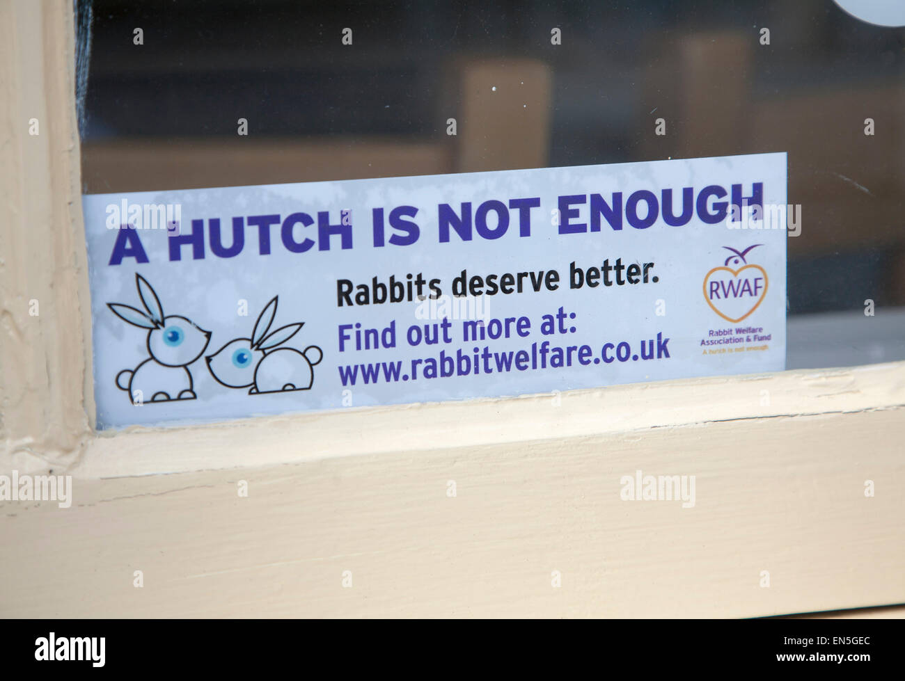 Sign in window saying 'A Hutch is not Enough - rabbits deserve better ...