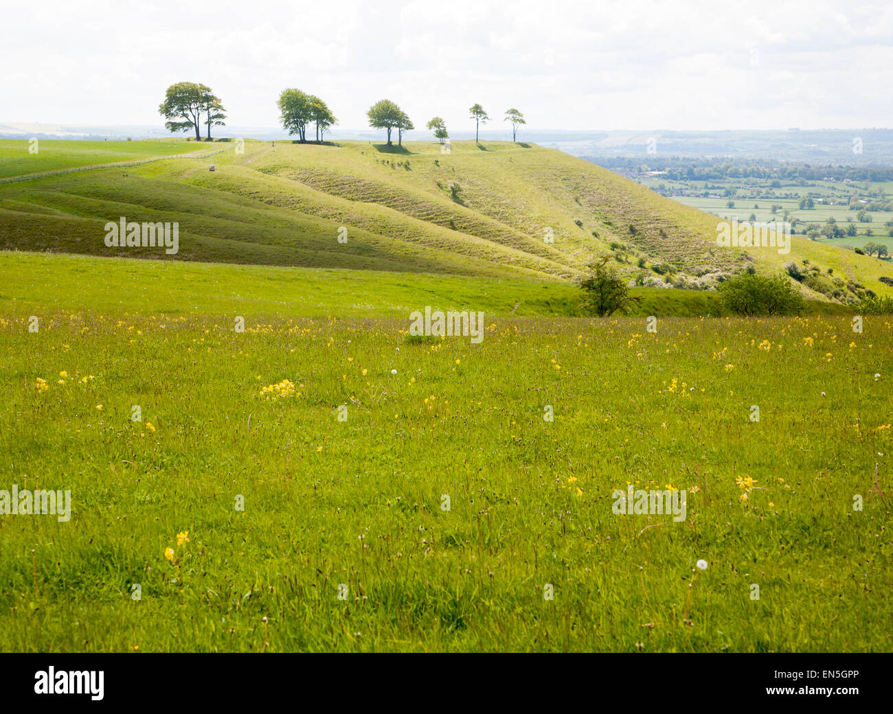 Chalk downland environment hi-res stock photography and images - Alamy