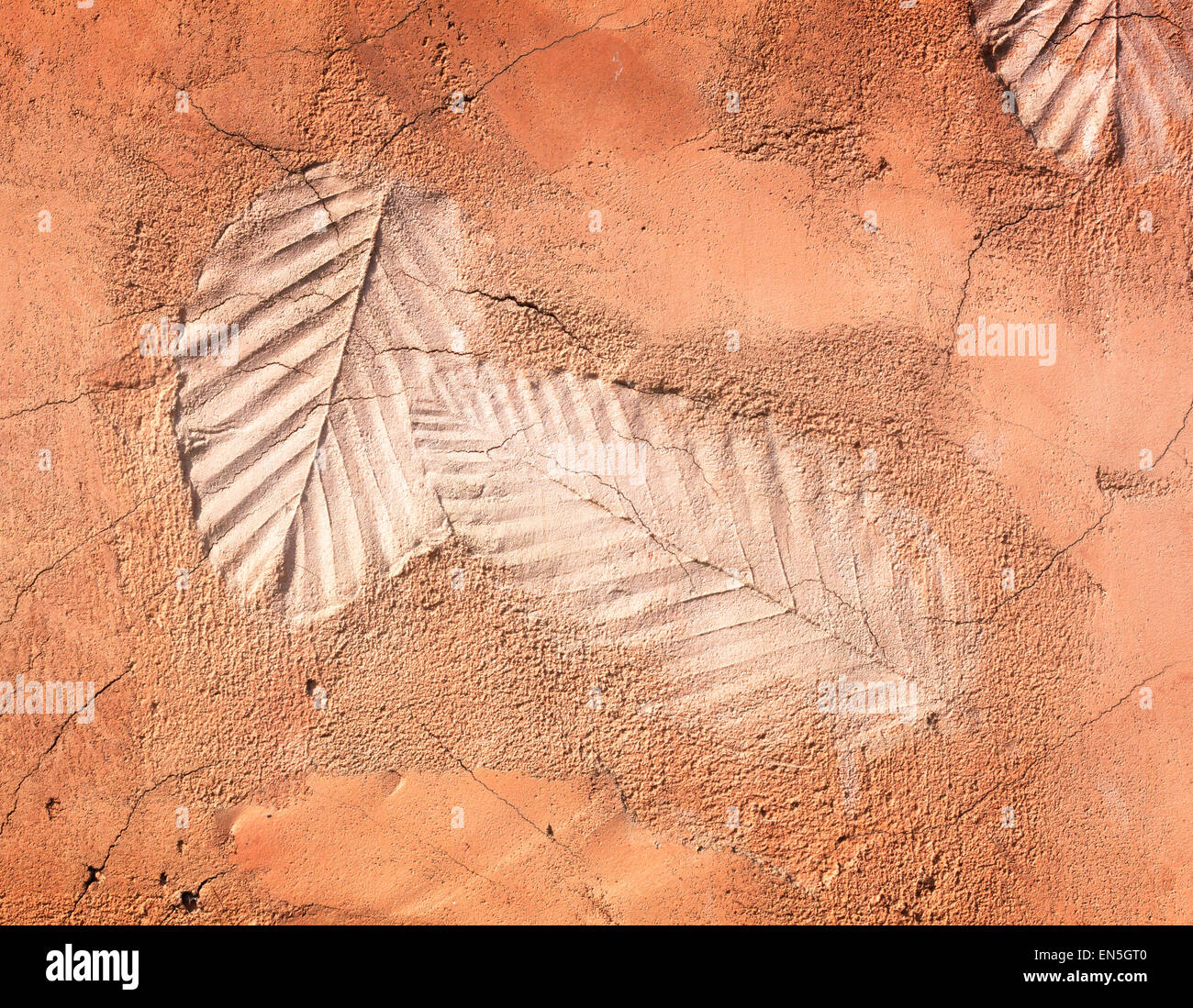 Cement leaf hi-res stock photography and images - Alamy