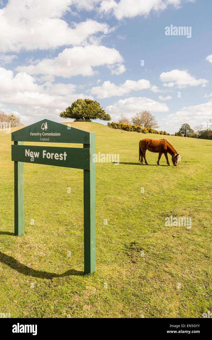 New Forest sign and pony - Lyndhurst, New Forest, Hampshire Stock Photo ...