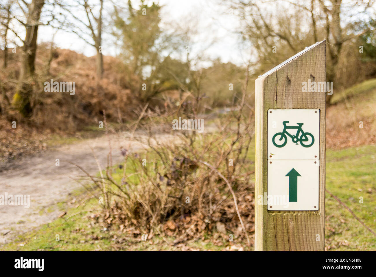 A cycle path sign post near Burley in the New Forest National Park ...