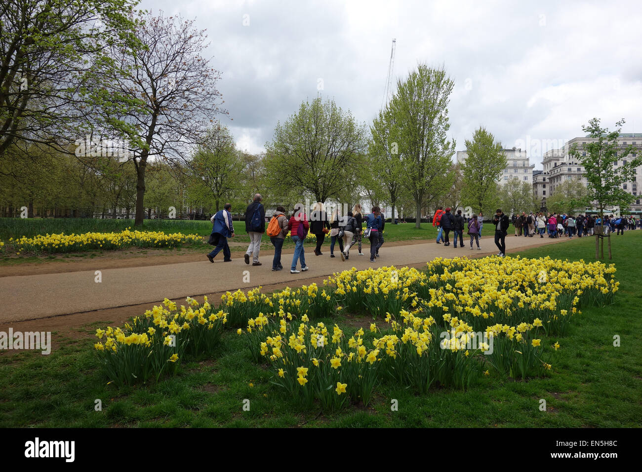 People walking through Green Park in spring, in central London, England ...
