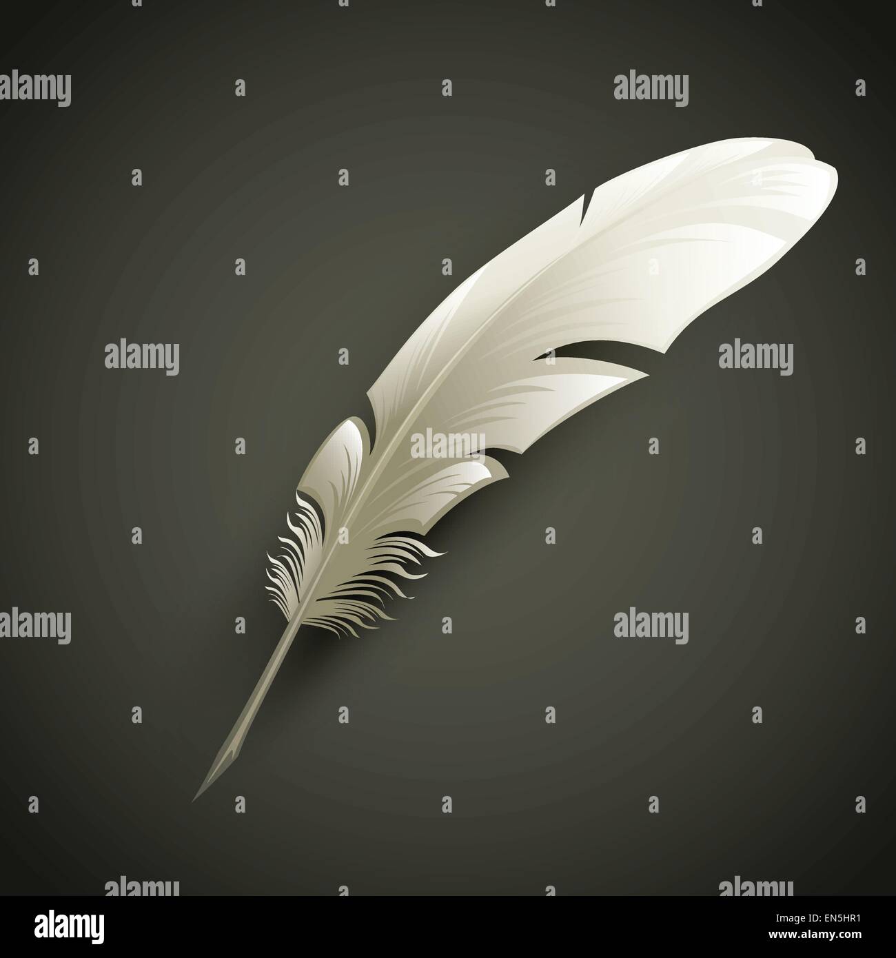 White Feather. Vector object illustration EPS 10 Stock Vector Image ...
