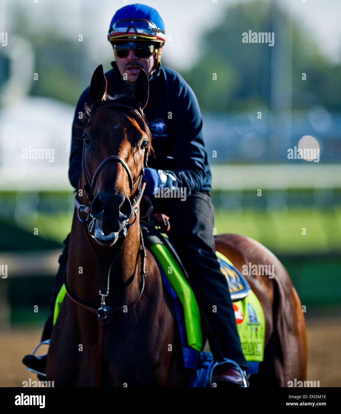 American pharoah kentucky derby 2015 hi-res stock photography and ...