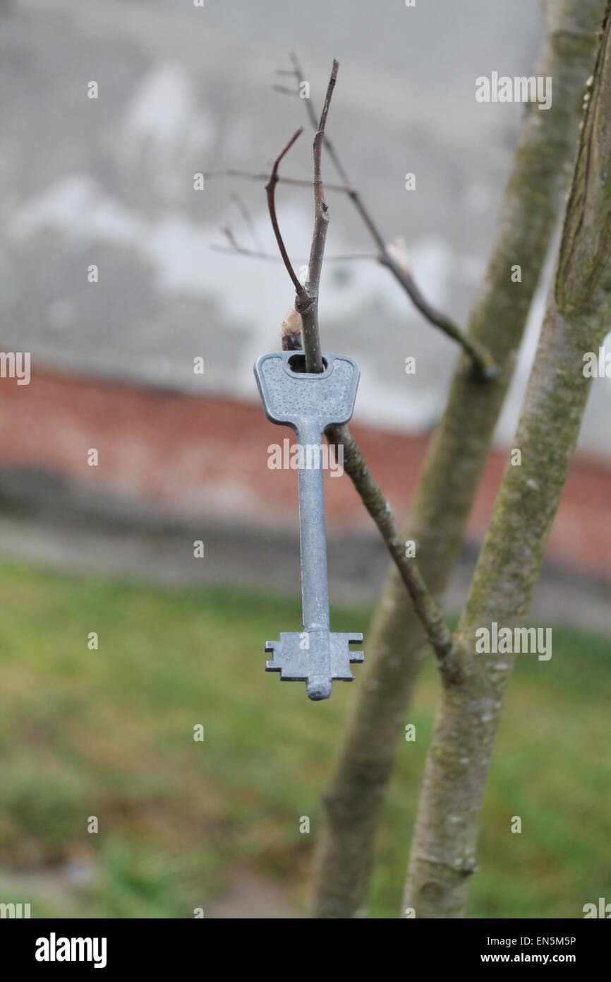 Hollow metal door hi-res stock photography and images - Alamy