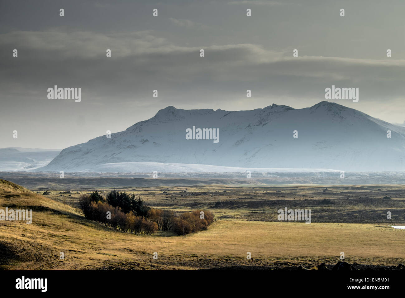 Icelandic ecosystem hi-res stock photography and images - Alamy