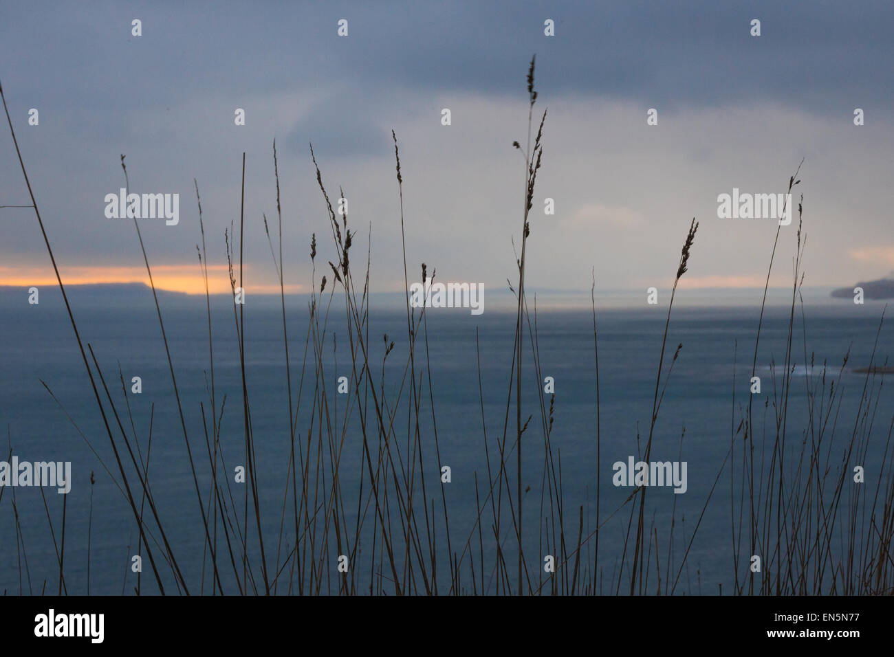 Fall on the sea with spigs in the front Stock Photo - Alamy