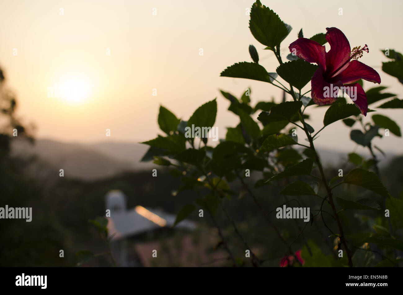 Honduras el salvador war hi-res stock photography and images - Alamy