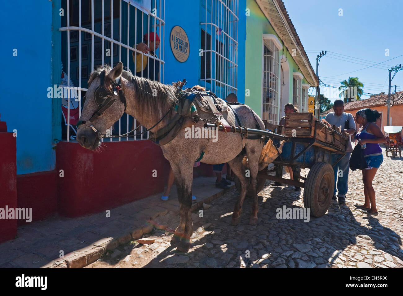 Painted pony hi-res stock photography and images - Alamy