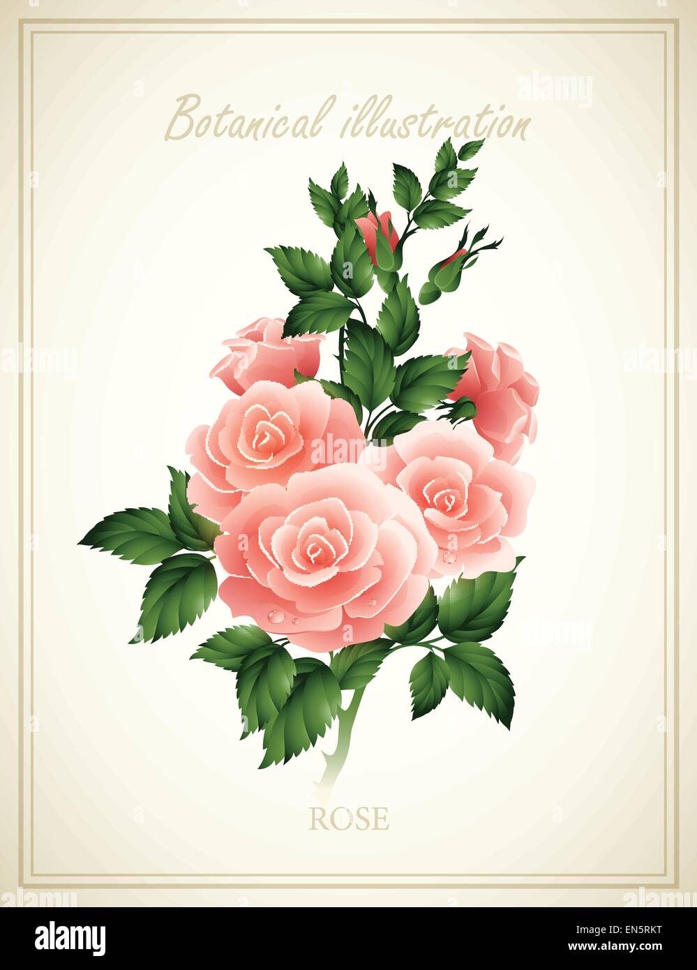 Vintage flower illustration Stock Vector Images - Alamy