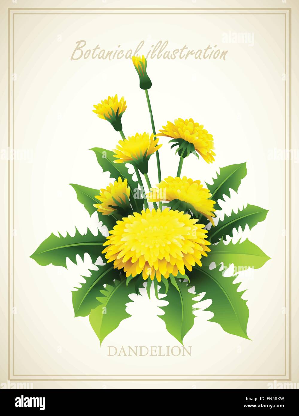 Vintage flower illustration Stock Vector Images - Alamy