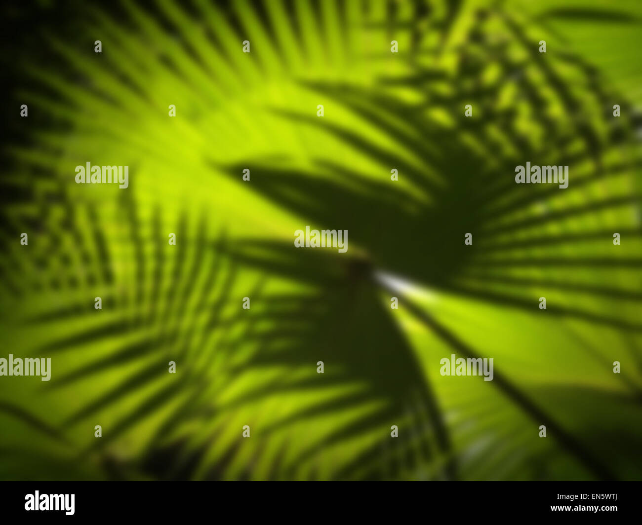 Horizontal leaves background hi-res stock photography and images - Alamy