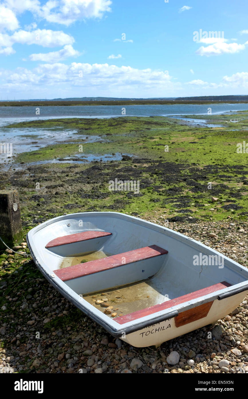 Sunny spot on the forest hi-res stock photography and images - Alamy