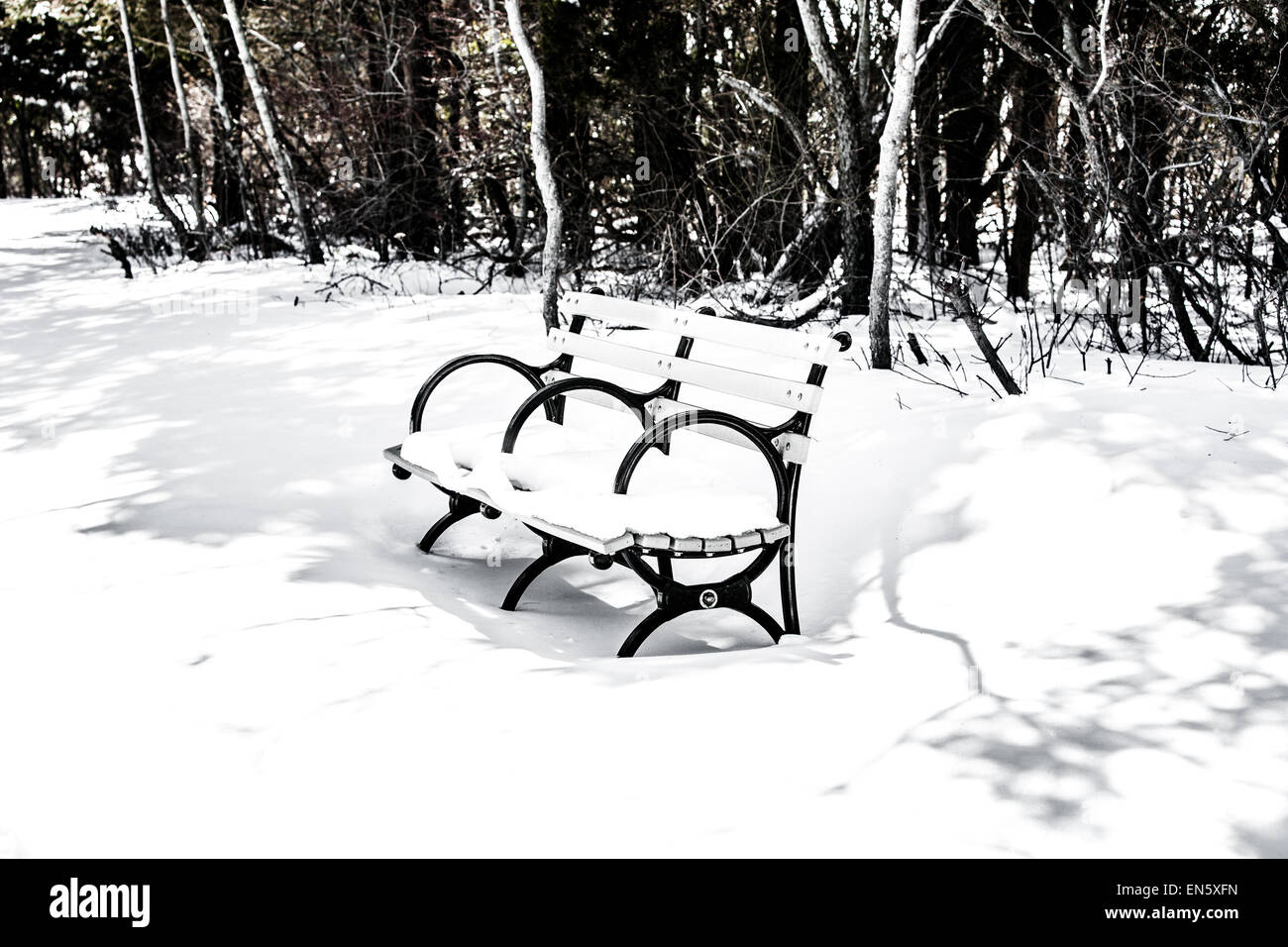 Park bench in the snow hi-res stock photography and images - Alamy