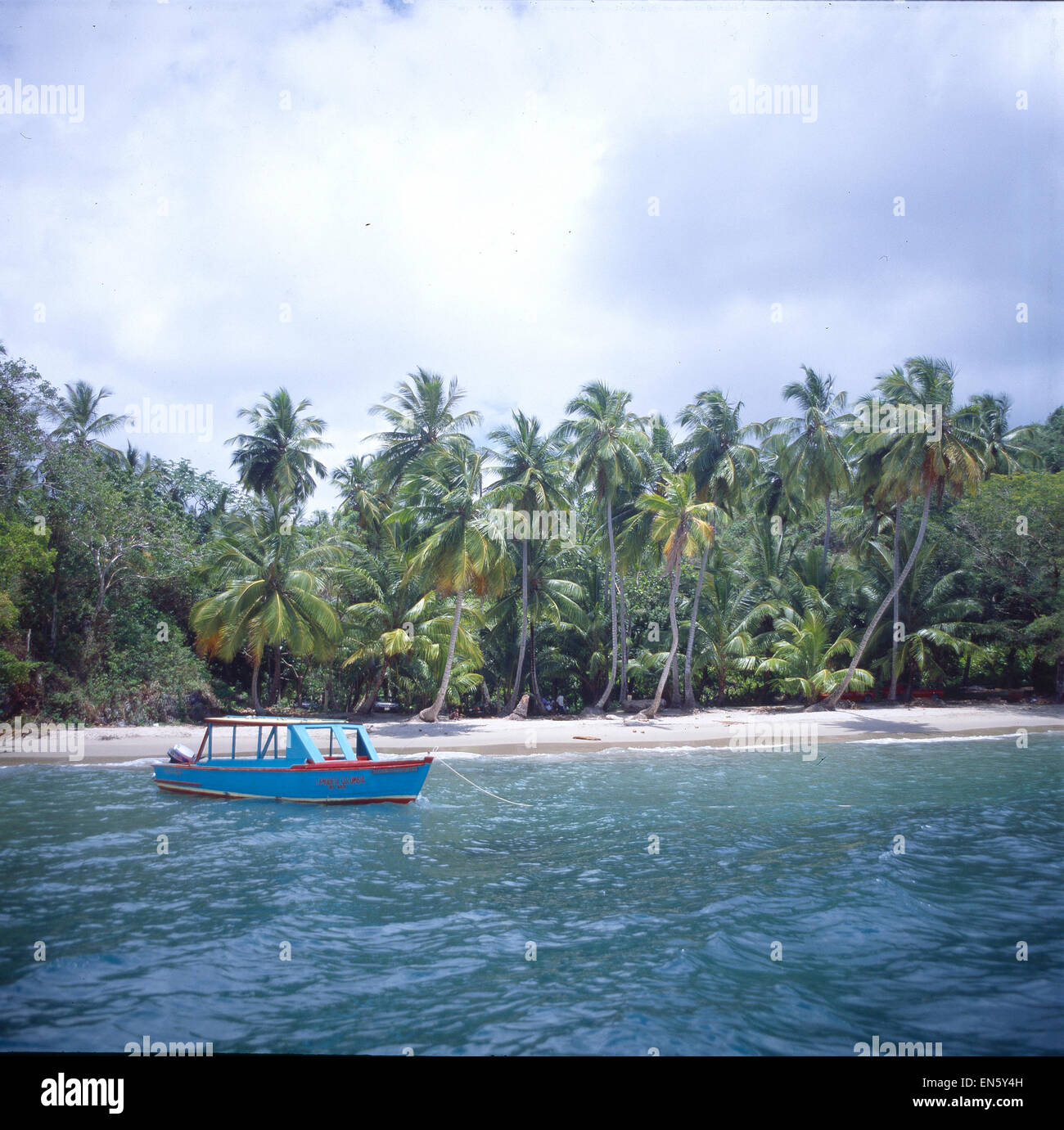Domenikanische Republik, Halbinsel samana, Palmenstrand auf der ...