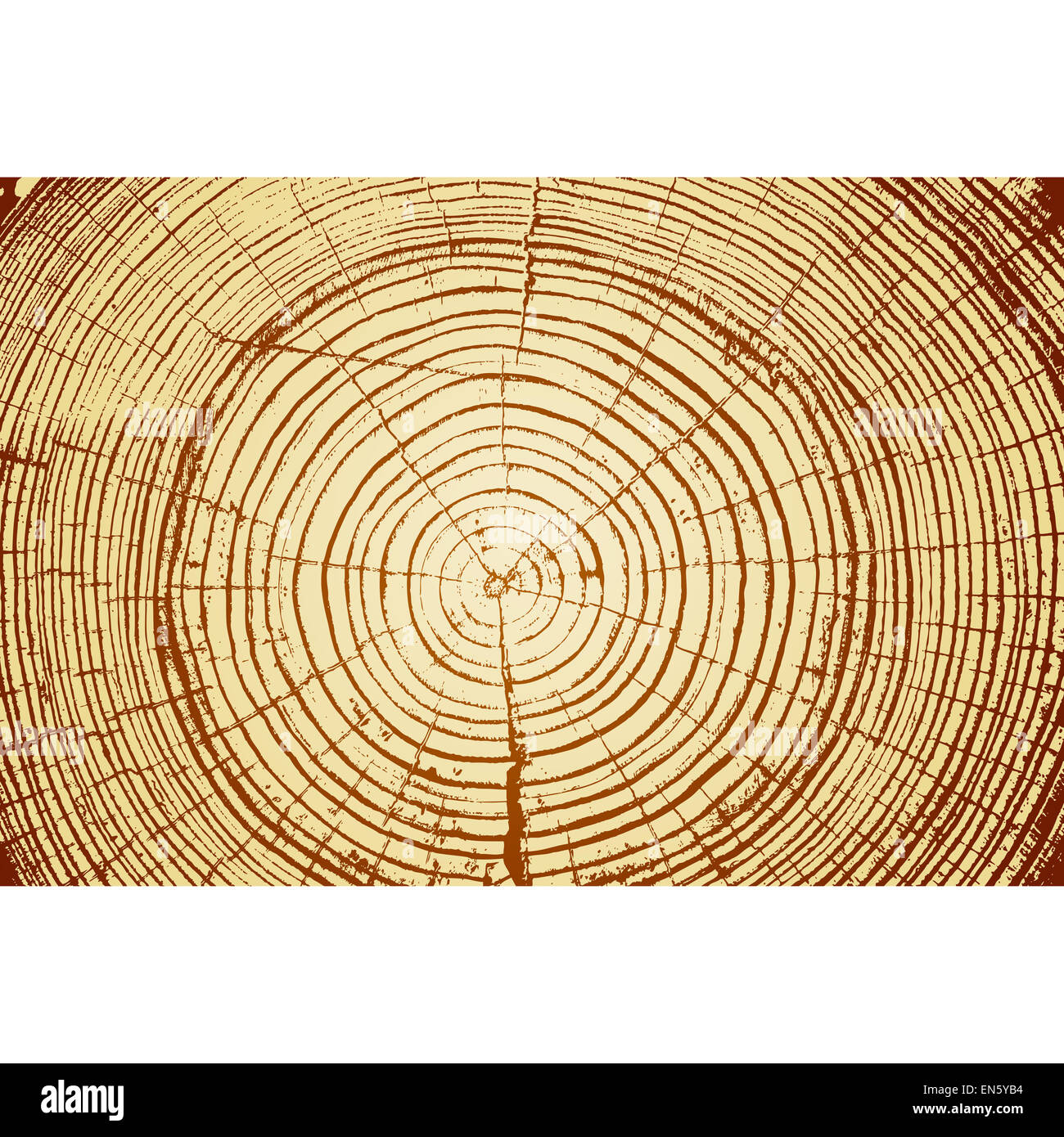 Tree rings saw cut tree trunk background. Vector illustration Stock ...