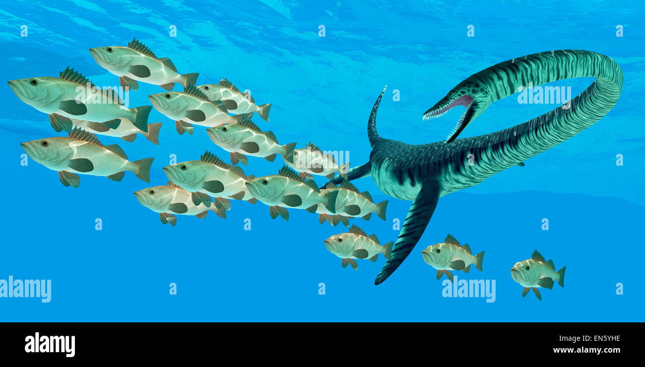 Cretaceous seas hi-res stock photography and images - Alamy