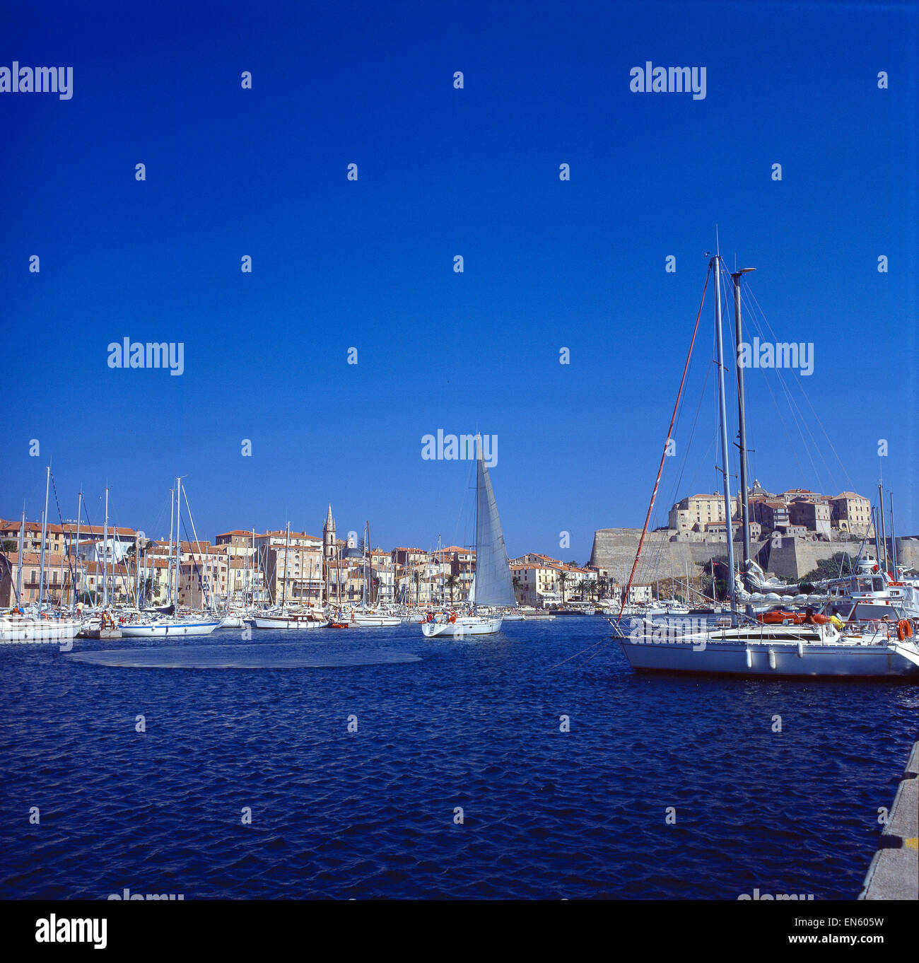 Frankreich, Korsika, Calvi, Calvi mit Festung auf Hafen Stock Photo - Alamy