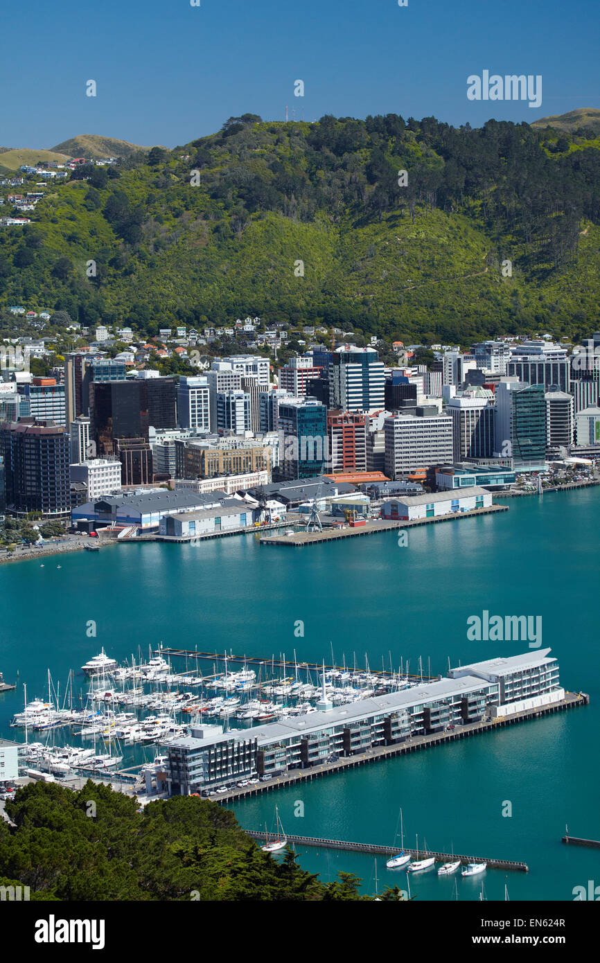 Mount victoria lookout' hi-res stock photography and images - Alamy