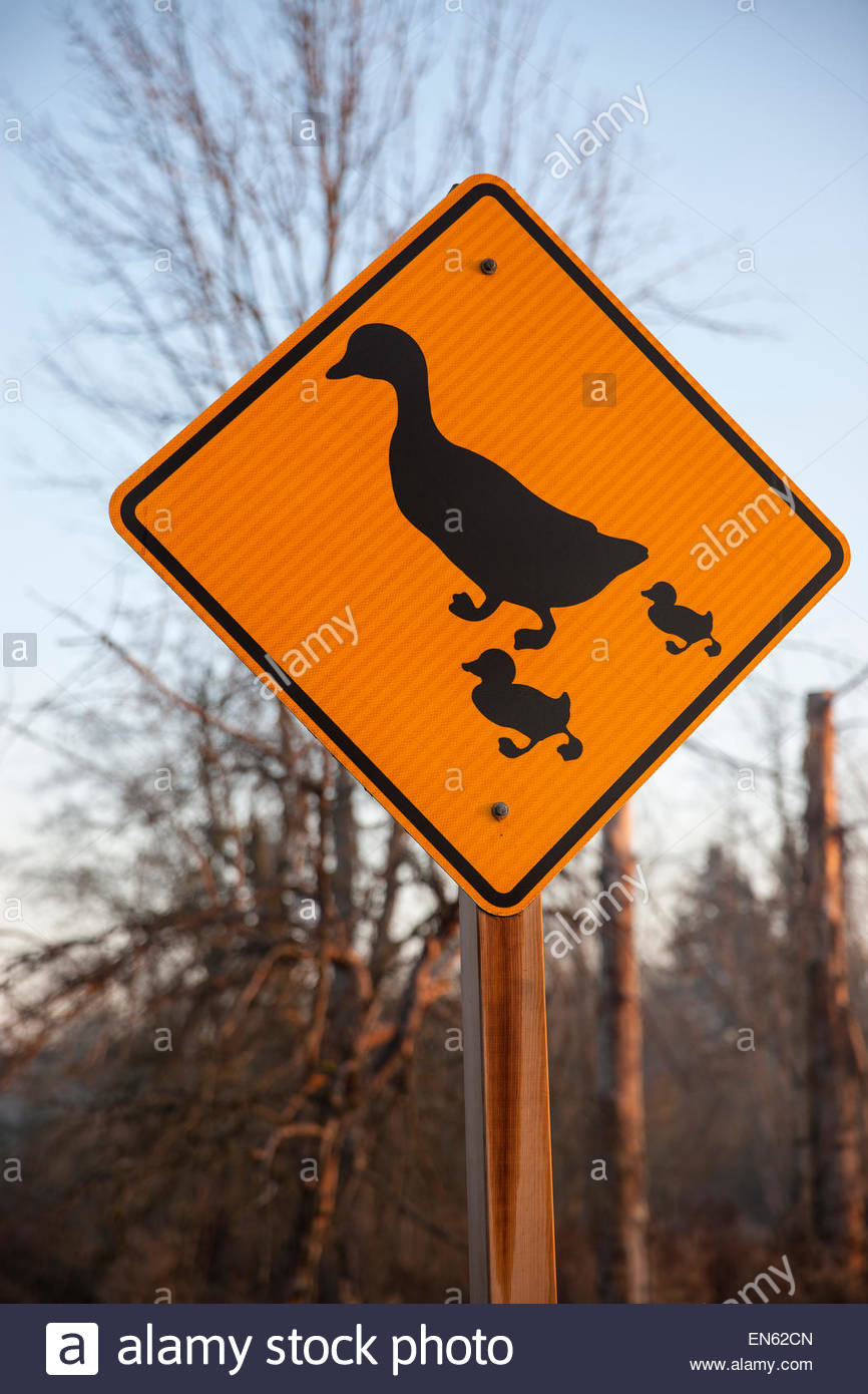 Sign Warning Ducks Crossing Road Stock Photos & Sign Warning Ducks ...