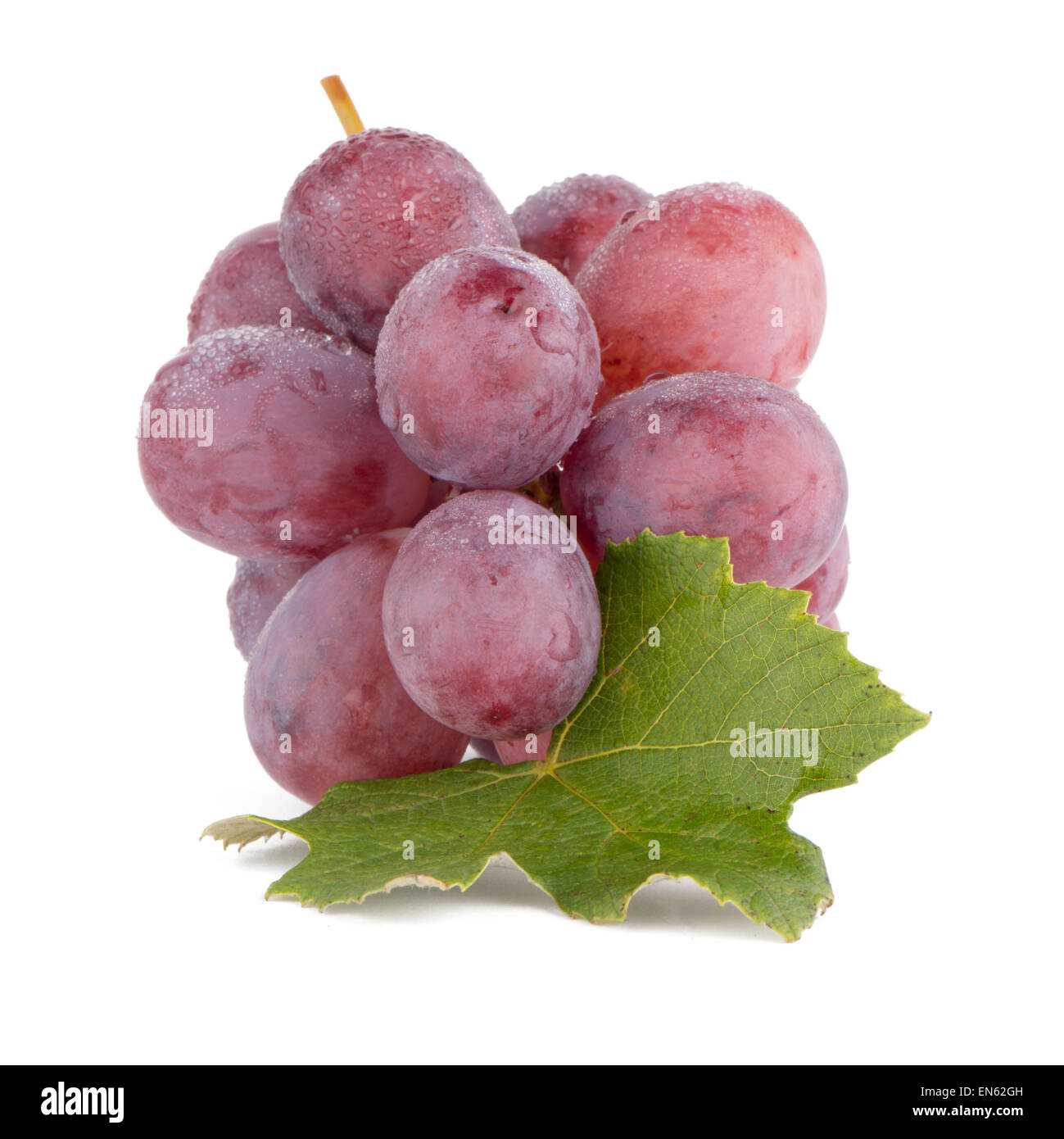 Bunch of red grapes , fresh with water drops. Isolated on white ...