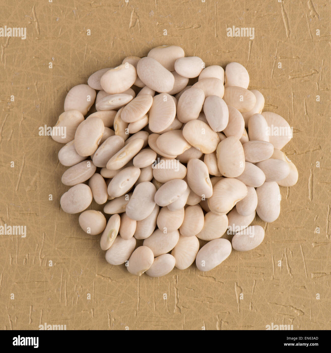 Top view of circle of white beans against yellow vinyl background Stock ...