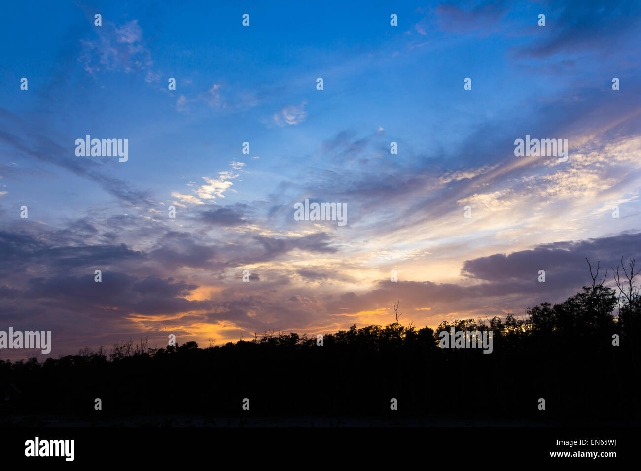 Beautiful Sunset at forest Stock Photo - Alamy