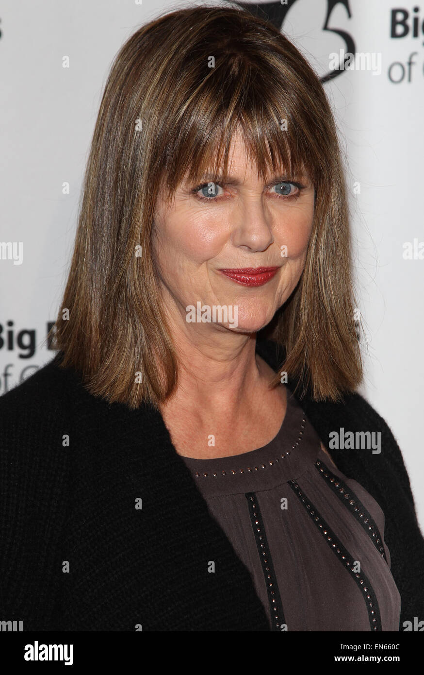 'The Big Bash,' a fundraising party for Big Brothers Big Sisters of ...