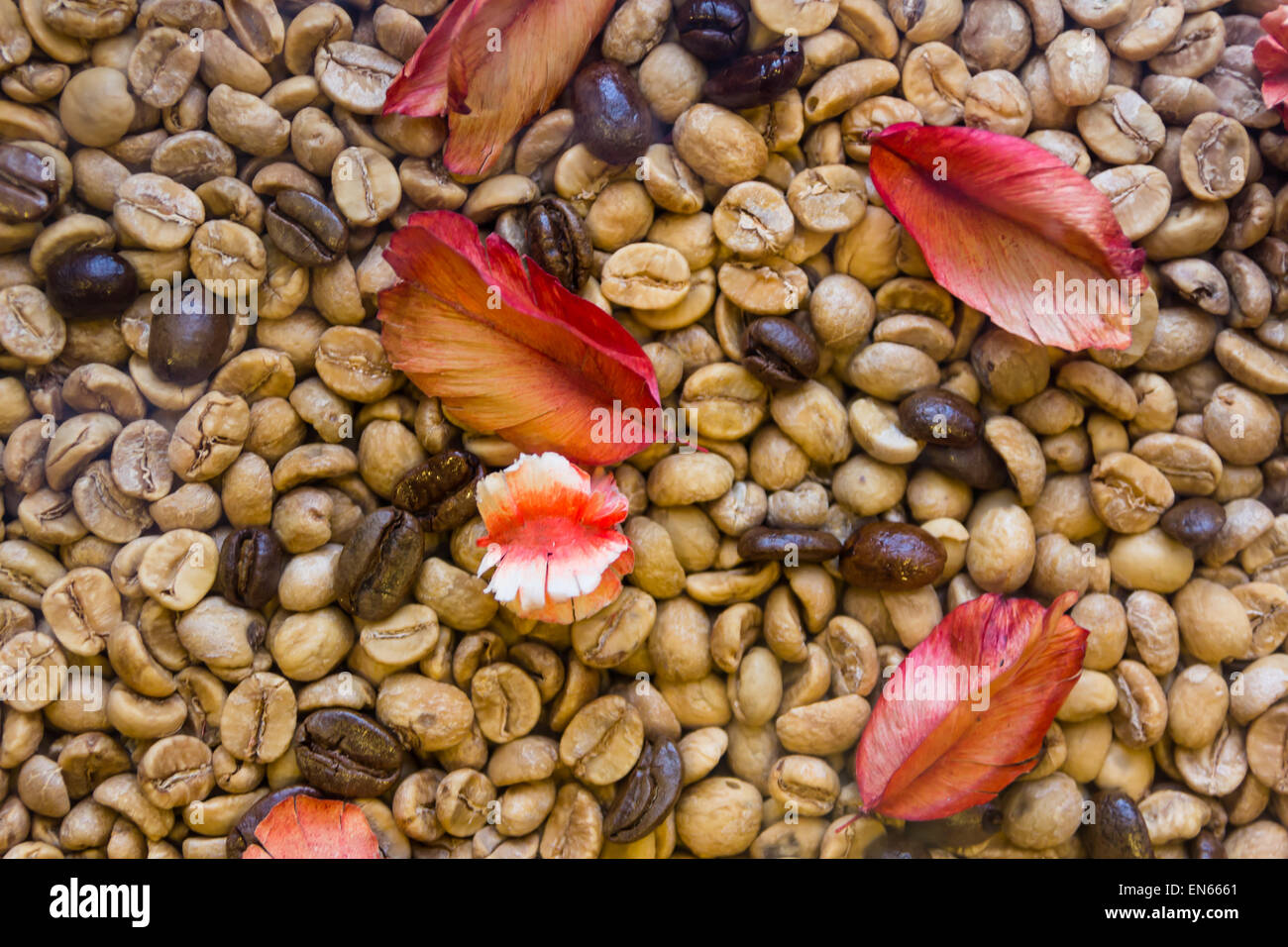 Coffee bean texture hi-res stock photography and images - Alamy