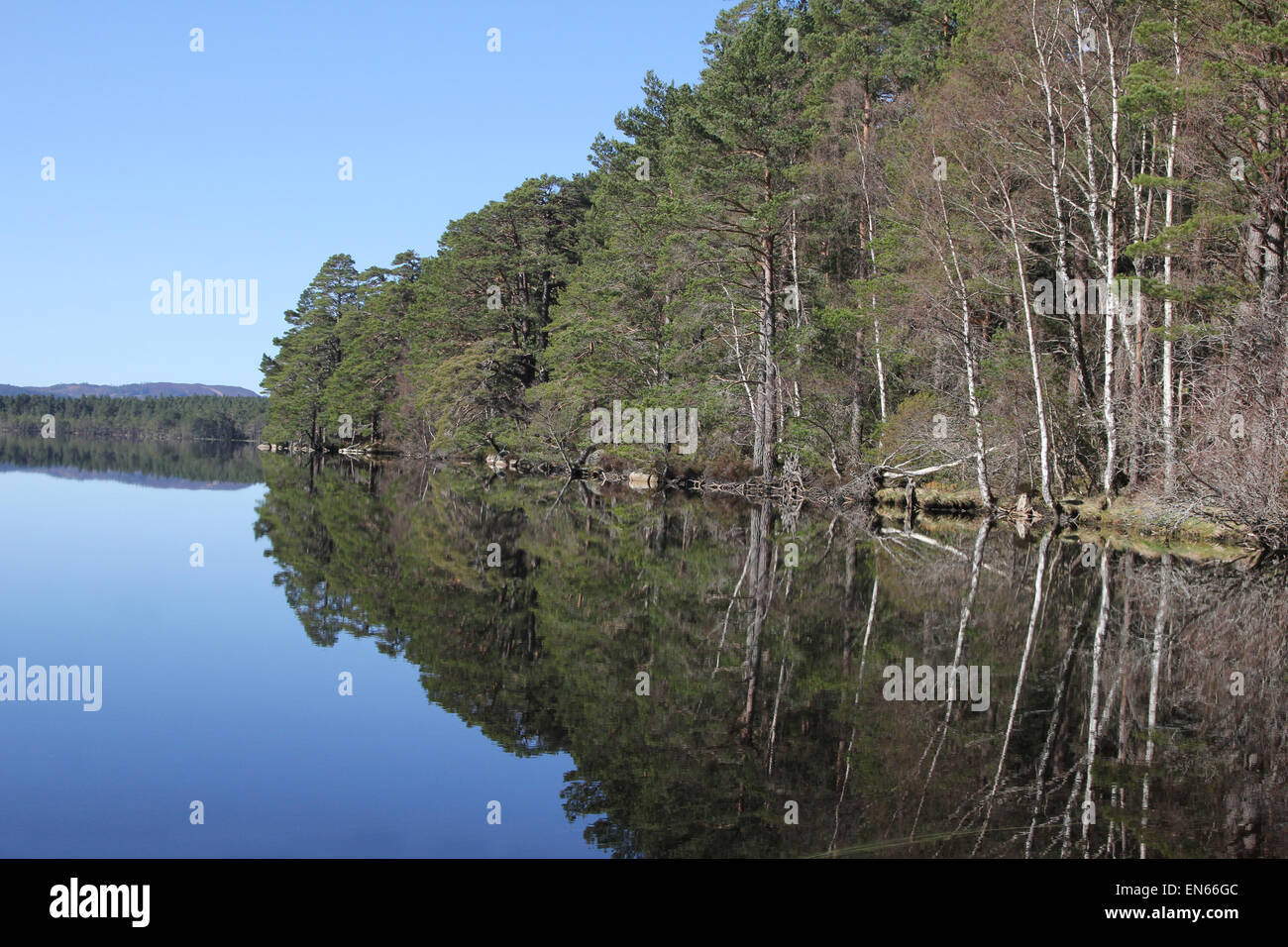 Loch Garten Speyside Scotland Stock Photo - Alamy