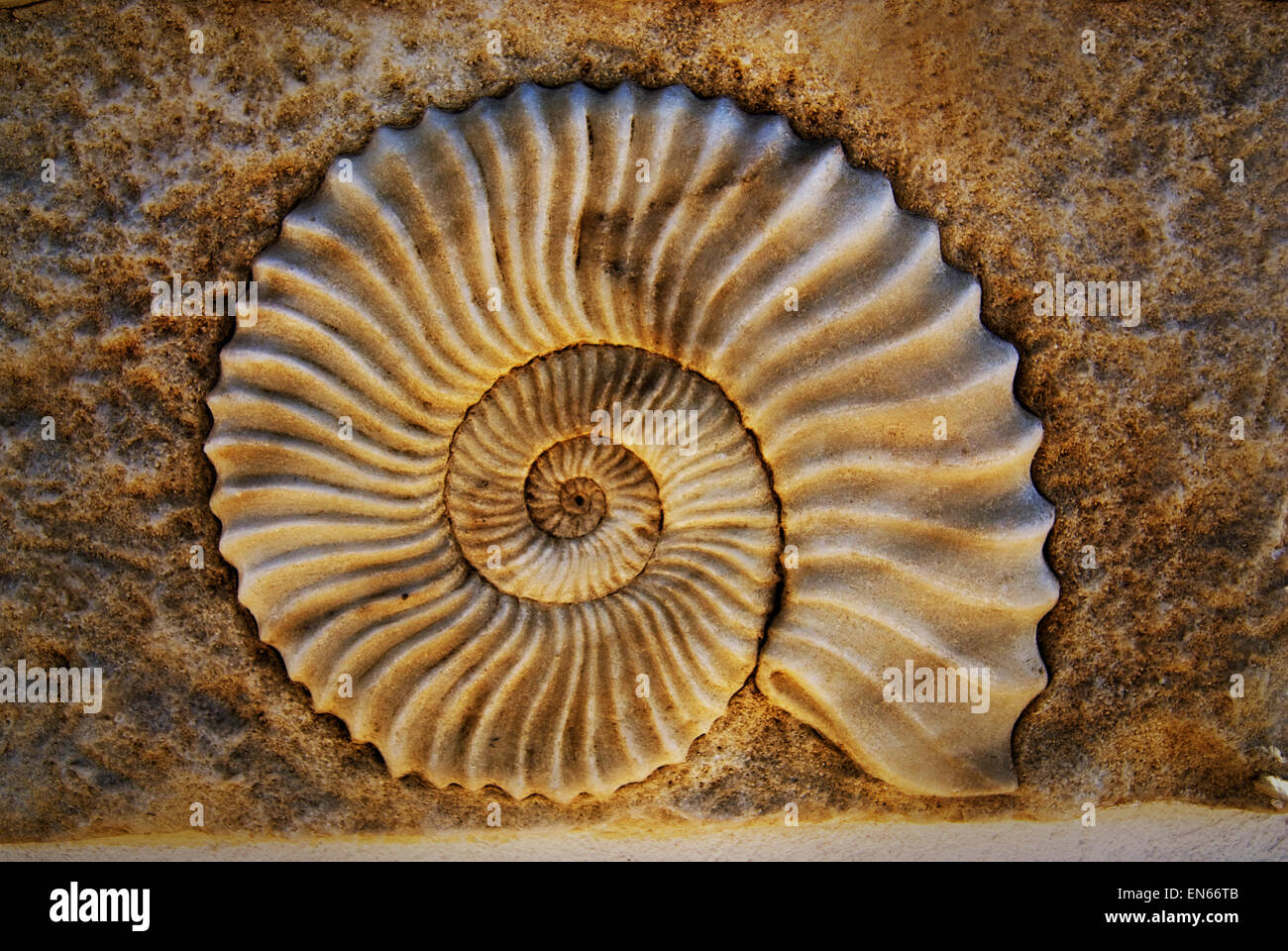 Infinity chamber hi-res stock photography and images - Alamy