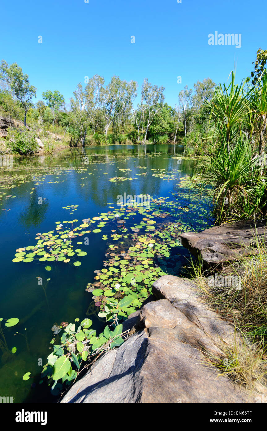 Creek, Mitchell Plateau, Kimberley, Western Australia Stock Photo - Alamy