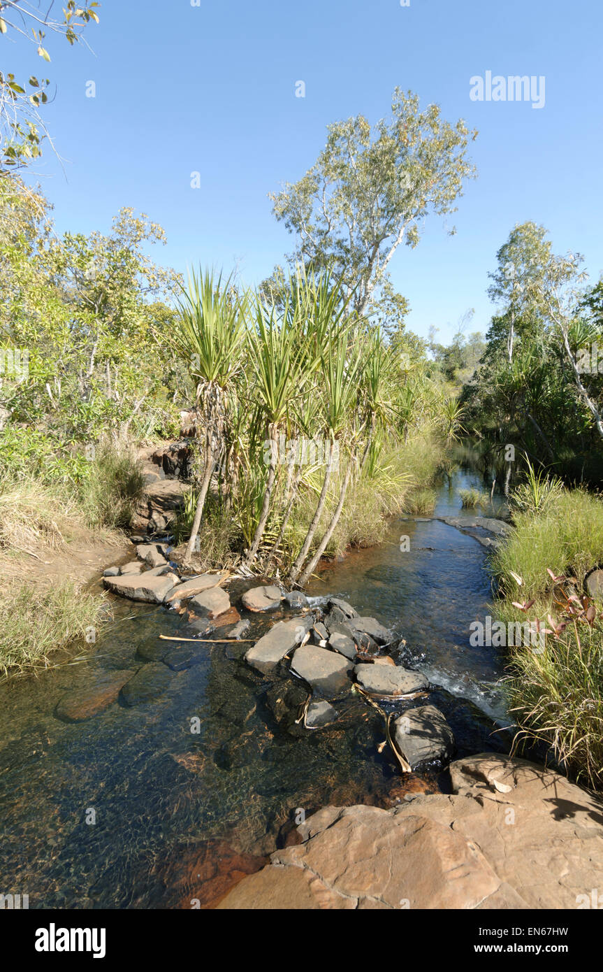 River pandanus hi-res stock photography and images - Alamy